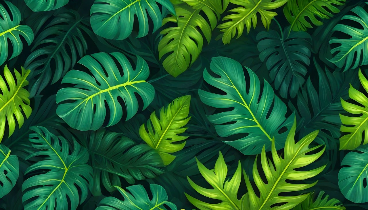 Tropical Plants Learn About The 8 Most Beautiful Types